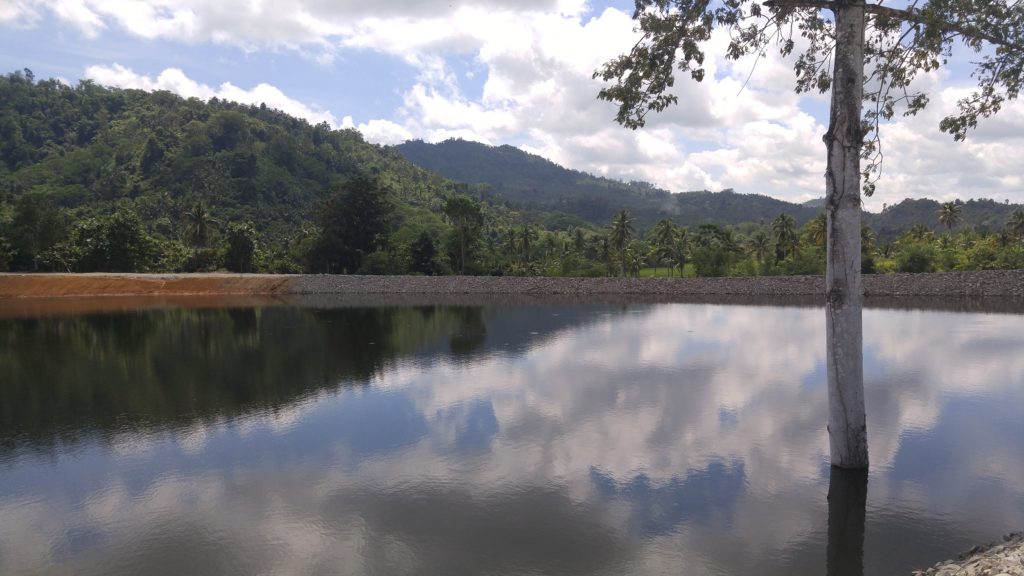 Mining/Environmental – AMH Philippines, Inc.